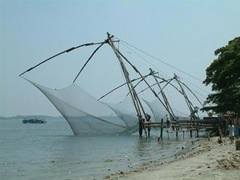 Aqua Culture-Fish Culture | BIOZOOM